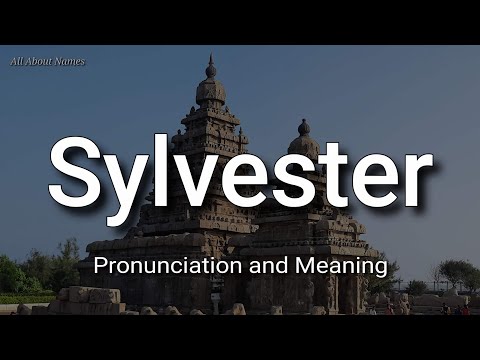 Sylvester - Pronunciation and Meaning