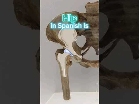 HIP IN SPANISH | Medical Consecutive Interpreting