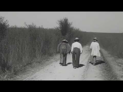 Of Mice and Men - John Steinbeck Book Summary