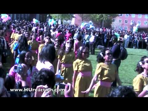 Alpha Kappa Alpha Probate at Howard University 2010 | The Divine 9's ...