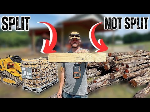 Does Firewood Dry Before You Split It