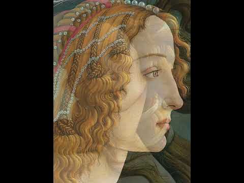Simonetta Vespucci