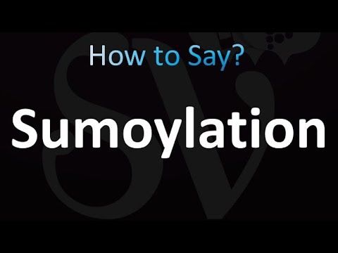 How to Pronounce SUMOylation (correctly!)