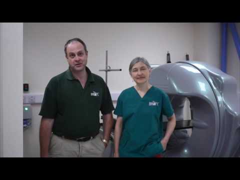 IMV imaging (previously BCF Technology) Anton Vets Epica Vimago CT system