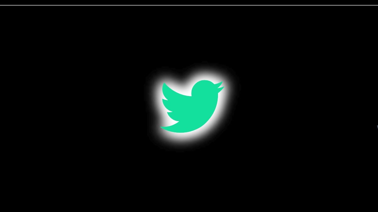 CSS3 Glowing twitter Logo Animation Effects  CSS Animation