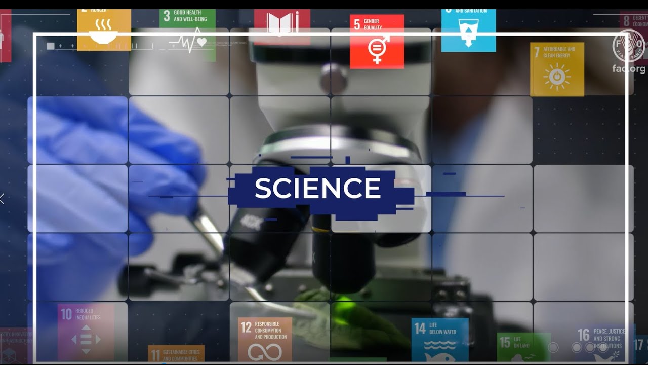 Harnessing science, technology and innovation is key for transforming our agrifood systems.