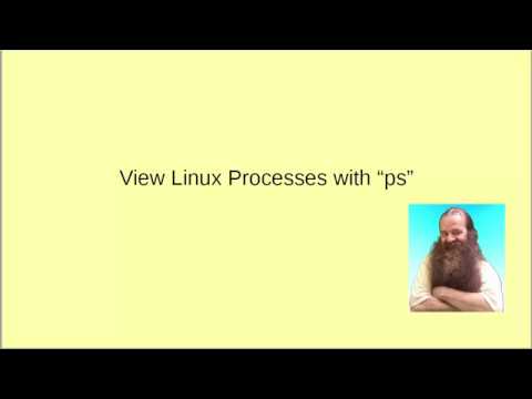 View Linux Processes with ps