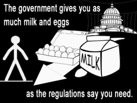 Government Systems Described using Two Cows