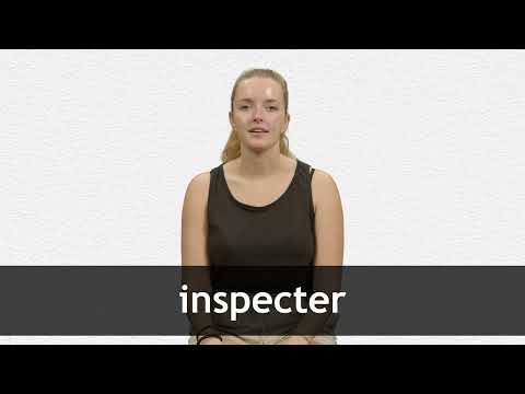English Translation of “INSPECTER” | Collins French-English Dictionary