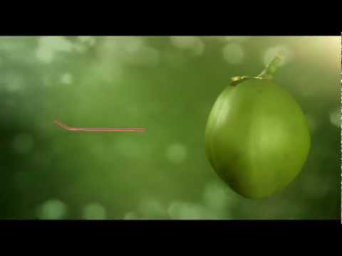 Tropicana Coco Quench | Restless