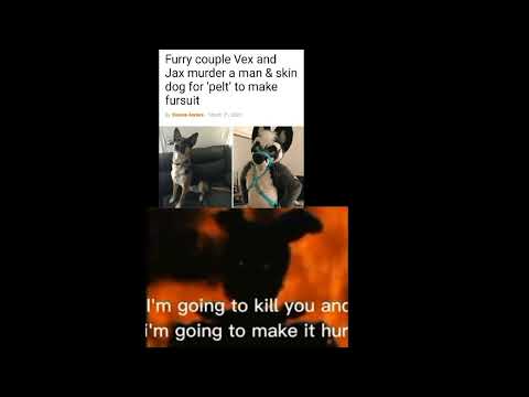 FURRY COUPLE MURDER A MAN AND A DOG TO MAKE FURSUIT #messedup