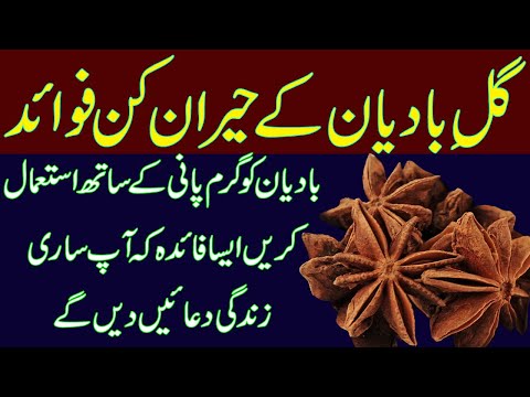Wonderful Benefits of Badiyan Phool Anise Seed medicare Tips Hindi | Urdu/Barkaat ul Islaam