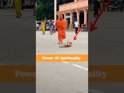 Power of Sanatan dharma #spirituality #believe #power #kashivishvanath