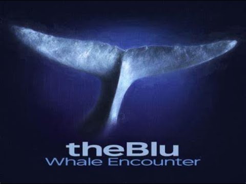Steam Community :: Video :: Absolutely STUNNING footage of theBlu on Steam
