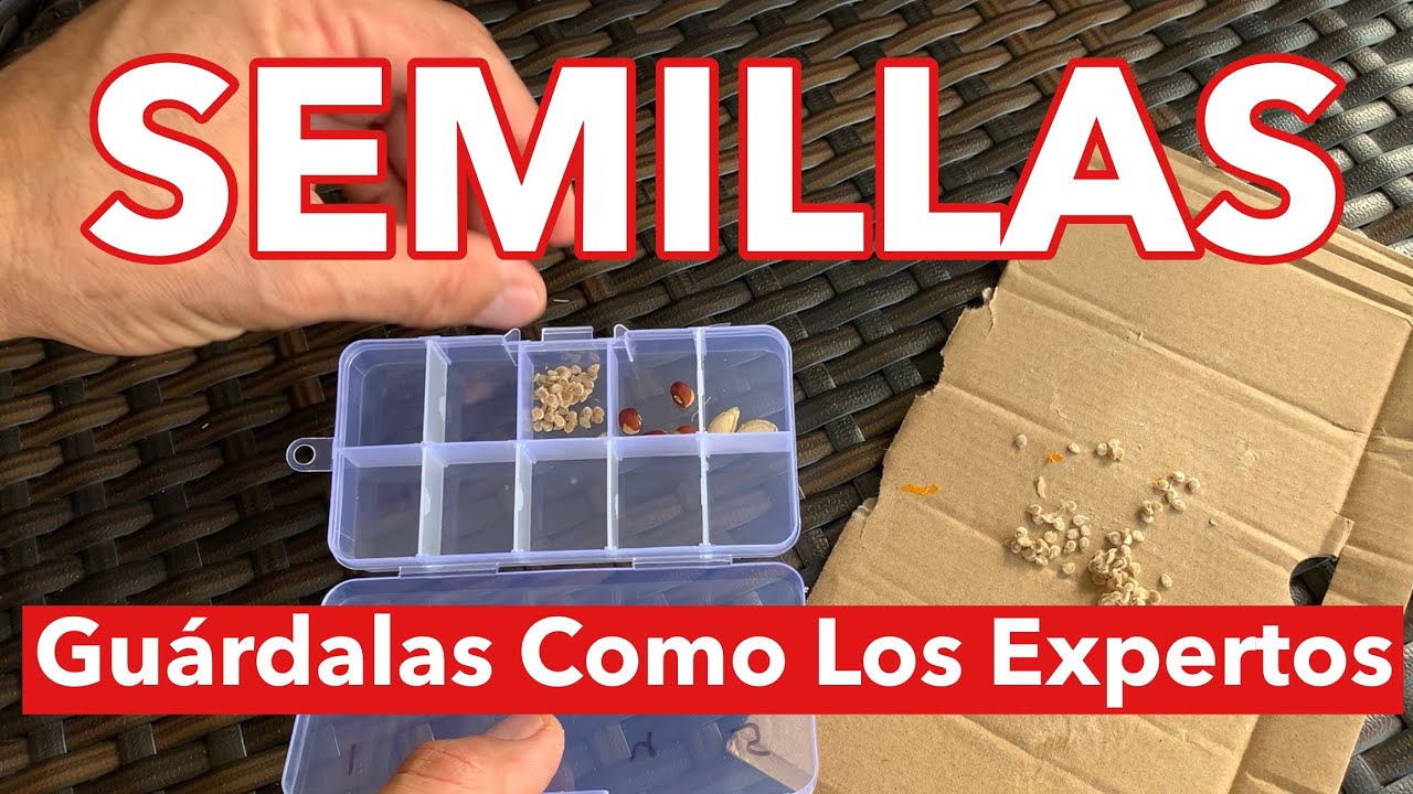How to Process and Store Seeds - Save Seeds Like an Expert