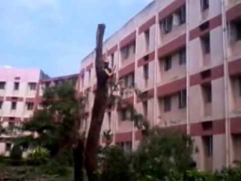 AIT Pune - Admission 2026, Fees, Courses, Placement, Ranking