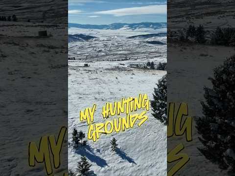 Hunting grounds #montana #hunting #406 #mountains #short #shorts