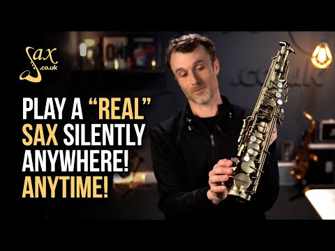 Emeo Digital Practice Saxophone Wind Synthesizer 2022 Black | Reverb