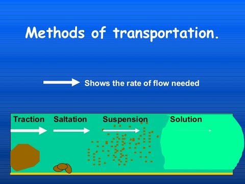Transport of Sediment in Rivers and Sea - Diagram and explanation