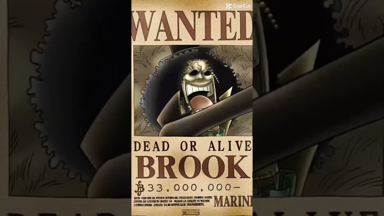 One piece wanted posters