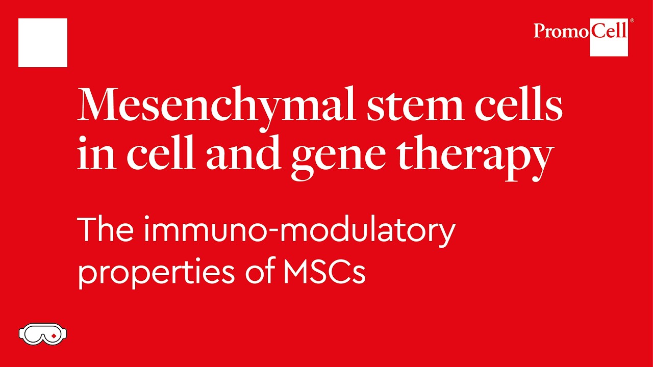 Mesenchymal stem cells in cell and gene therapy – the immunomodulatory properties of MSCs