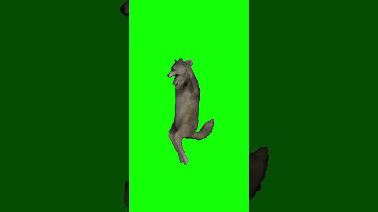 Dancing Wolf Meme | Green Screen