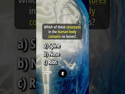 what part of the human body has the thinnest skin