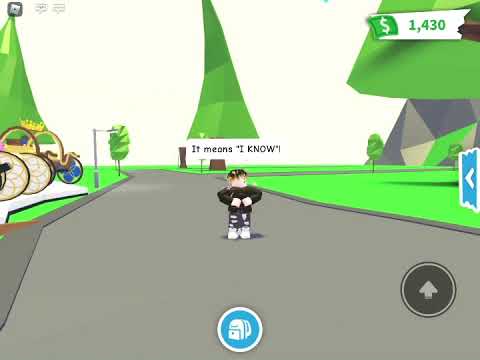 What does "IK" mean? Roblox meme