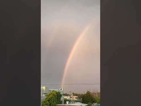Surprising Ways Rainbows Bring Joy