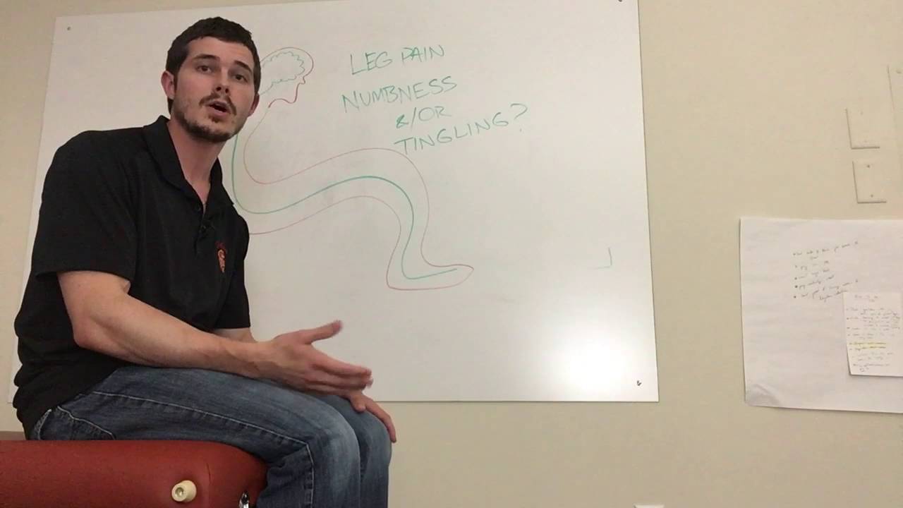 Pulled Hamstring OR Sciatica Self Test: Slump Test