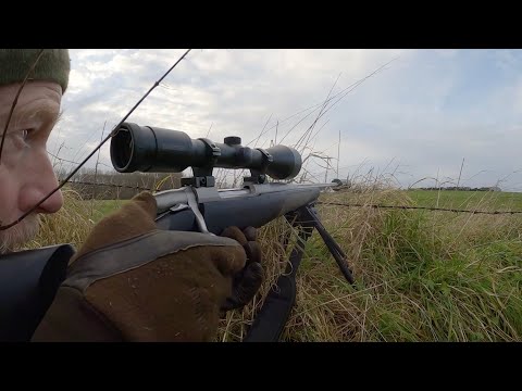 The Shooting Show - Chinese Water Deer stalk pt. 2 with Chris Dalton