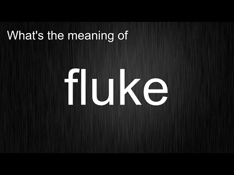 What's the meaning of "fluke", How to pronounce fluke?