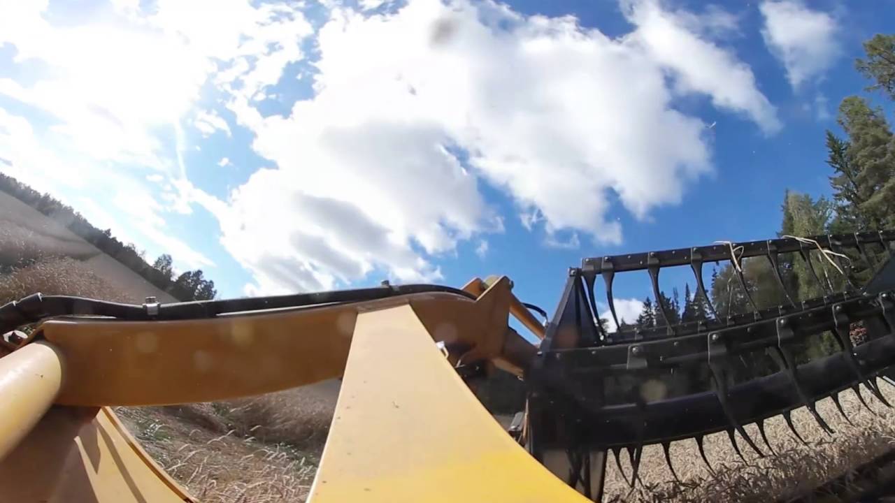 Puintia vol. 1, Mustialassa 2016