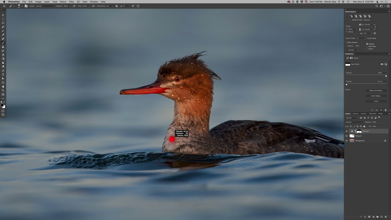 Realtime Edit - Red-breasted Merganser