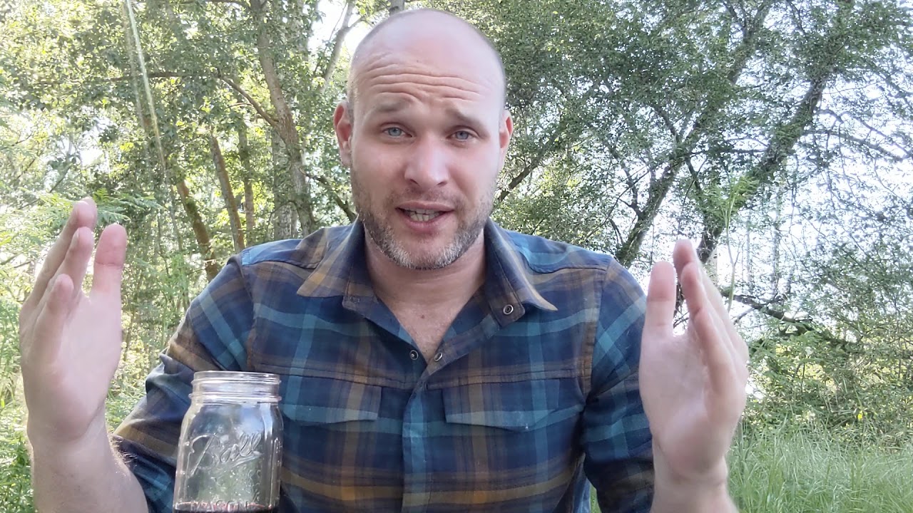 Transparency 101—When is too much information too much?