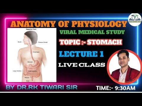 Digestive System - पाचन तंत्र | Anatomy and Physiology | Stomach | Intestine | Liver | Pancreas