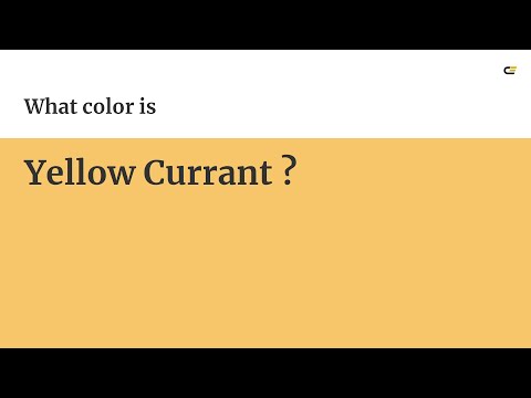 Yellow Currant color #f7c66b hex color - Yellow color - Cool color f7c66b