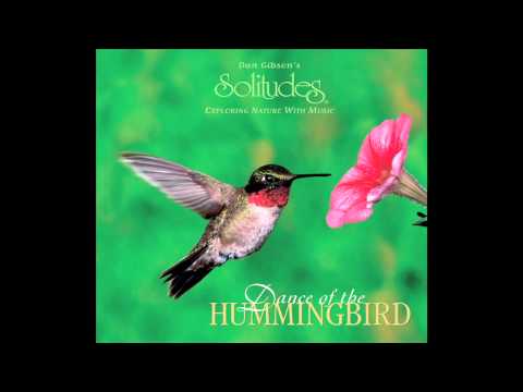 Dance of the Hummingbird - Dan Gibson's Solitudes