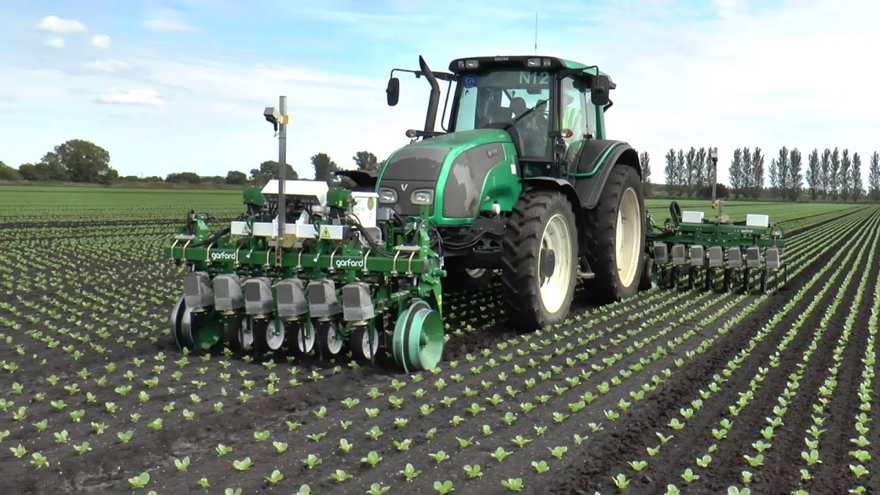 Robocrop InRow Weeder | Remove Inter Row Weeds | Garford Farm Machinery