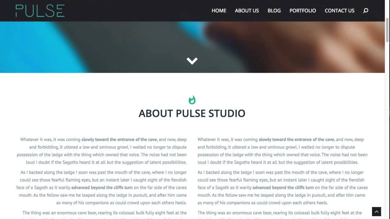 Pulse WordPress Theme - Options Branding Tab