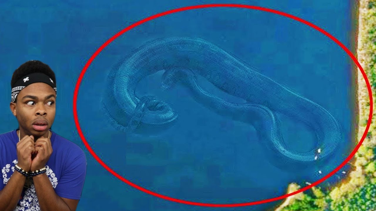 Weird Things Spotted Deep On Google Maps Part 7