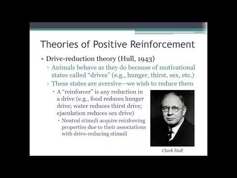 PSYC 370 Video Lecture - Drive-Reduction Theory