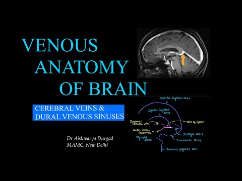 CEREBRAL VENOUS ANATOMY l RADIOLOGY l DURAL VENOUS SINUSES l CEREBRAL VEINS l MR VENOGRAPHY