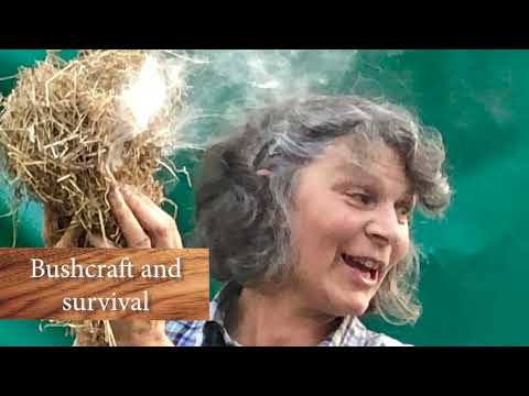 Derbyshire Woodland Festival