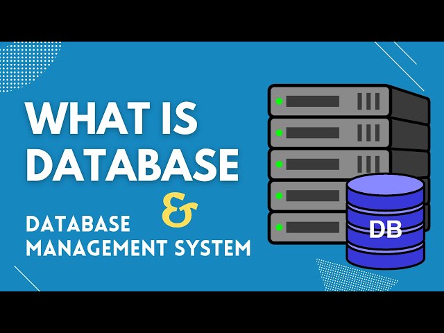 Understanding Databases and Database Management Systems | Galaxy.ai | Galaxy.ai
