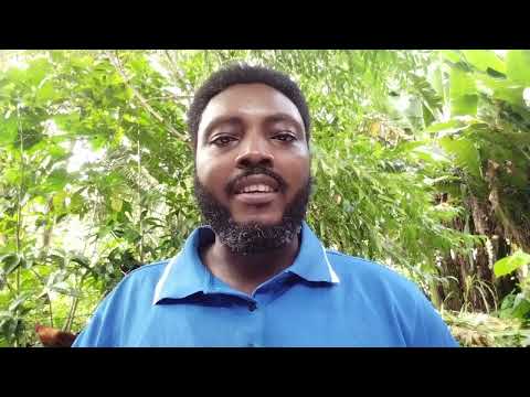 What Does Naomi In The Bible Mean?