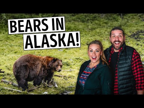 One Day in Sitka, Alaska - Port Guide | Stop #1 on our 7 Day Alaska Cruise (Norwegian Bliss)