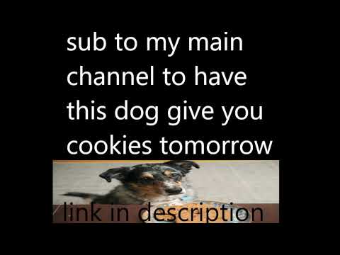 watch this if you like this channel
