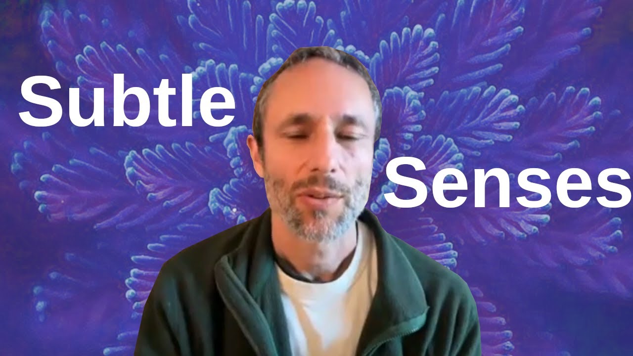 Exploring the Depths of Subtle Senses in a Mediated World | Galaxy.ai