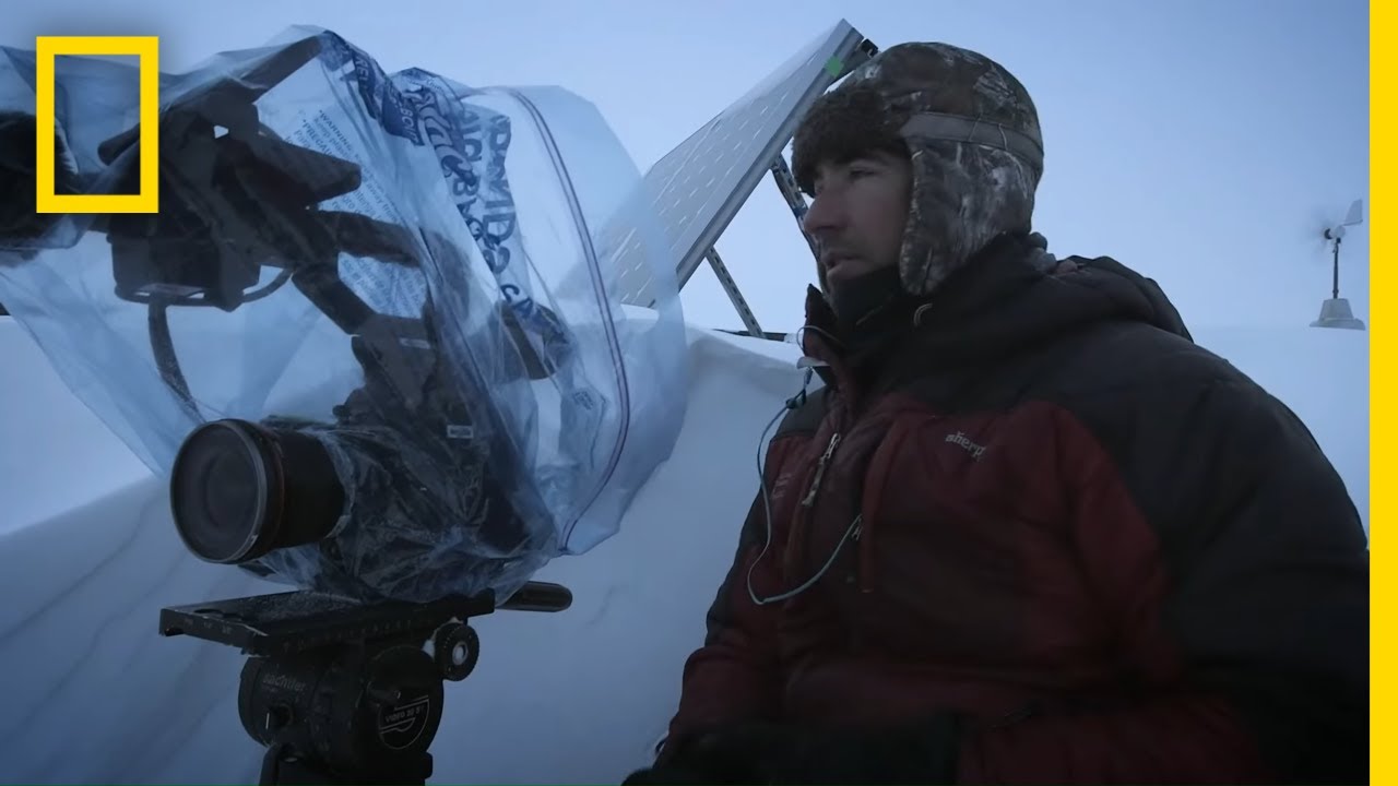 Life Below Zero | National Geographic FYC Life Below Zero | National Geographic FYC